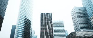 Company Reports | Statista