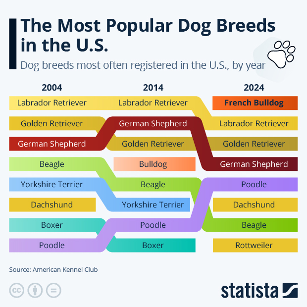 The Statista Infographics Bulletin | Statista