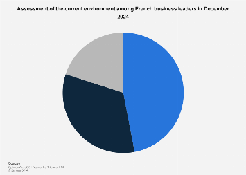 Opinion of entrepreneurs on the current context in France 2024| Statista