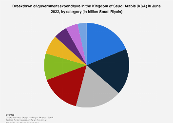Saudi Arabia: government expenditure in 2021 by category| Statista