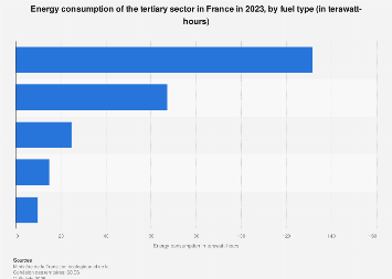 France: tertiary energy used by fuel 2023 | Statista