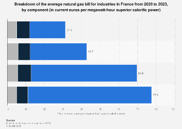 France: industrial natural gas bill breakdown| Statista