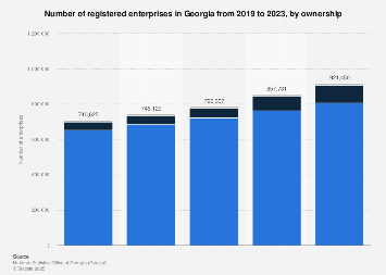 Georgia: enterprises by ownership 2023| Statista