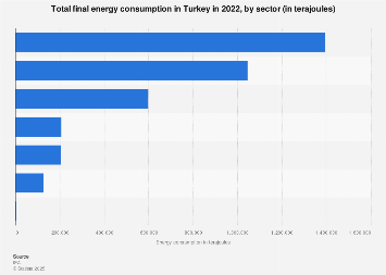 Turkey: final energy consumption by sector 2022| Statista