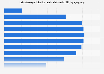 Vietnam: labor force participation rate by age group 2022| Statista
