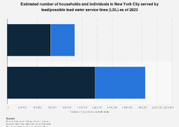 U.S. lead water service line coverage in NYC 2023 | Statista