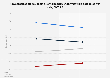 U.S TikTok safety&privacy concerns 2024| Statista