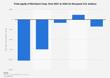 Birchtech Corp. total equity 2024| Statista