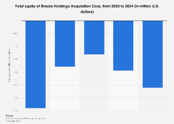 Breeze Holdings Acquisition Corp. total equity 2024| Statista