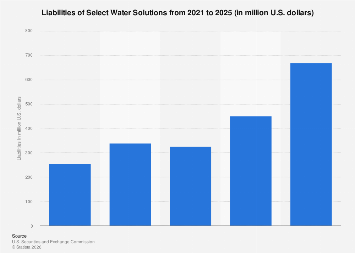Select Water Solutions liabilities 2024| Statista