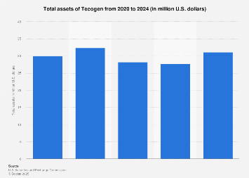 Tecogen total assets 2024| Statista