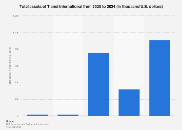 Tianci International total assets 2024| Statista
