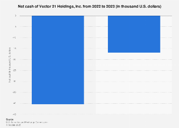 Vector 21 Holdings, Inc. net cash 2023 | Statista