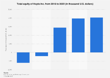 Hopto Inc. total equity 2022 | Statista