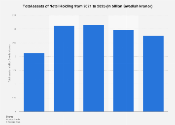 Netel Holding total assets 2024| Statista