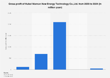 Hubei Wanrun New Energy Technology Co.,Ltd. gross profit 2024| Statista
