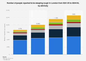 London homeless people by ethnicity 2025| Statista