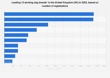 UK: top 10 working dog breeds by registered number 2023| Statista