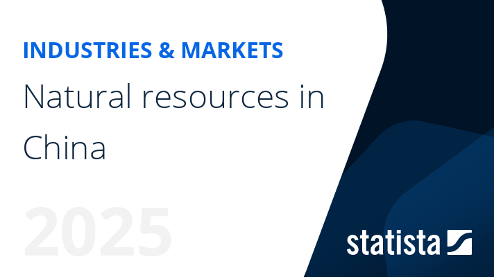 Natural resources in China | Statista